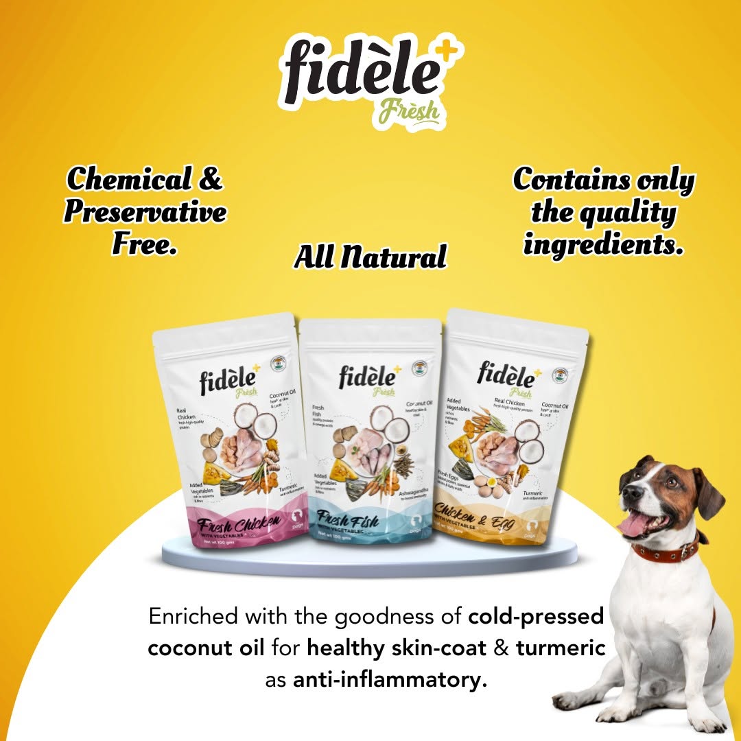 No Prep, Just Pour: How Fidele+ Fresh Saves You Time Without Compromis