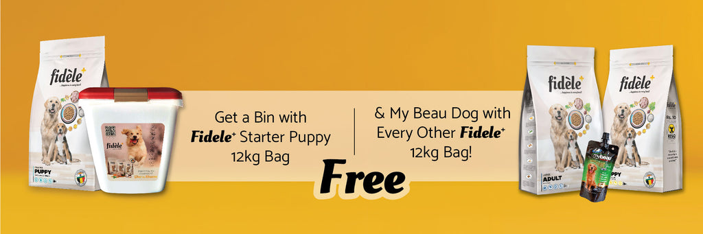 Fidele+ Dog Food | Adult and puppy dry food | Premium Food | Order now ...